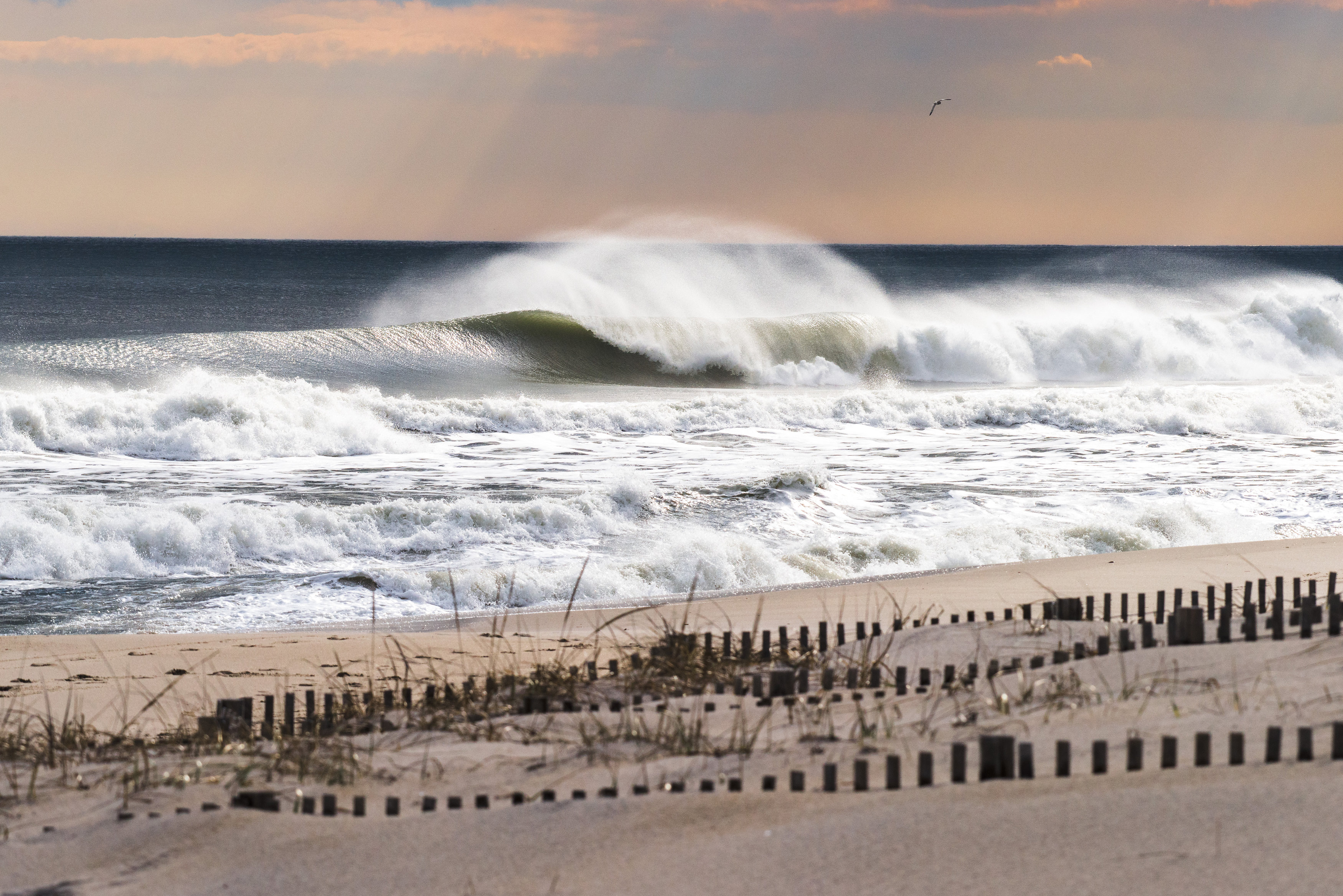 wave_ – LBI Summer